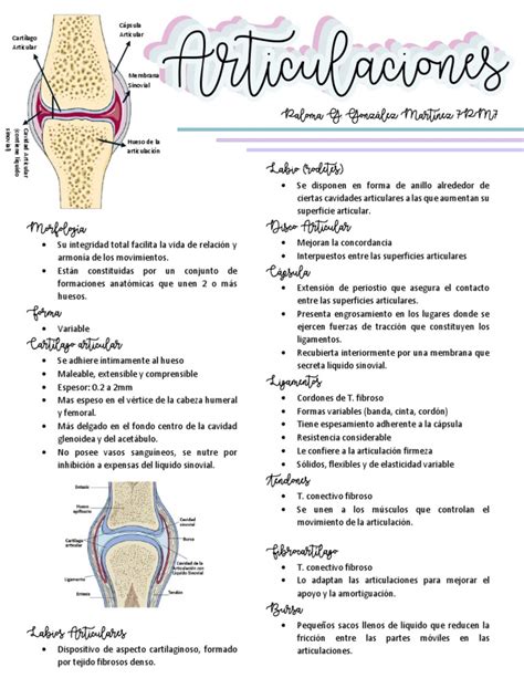 4 Articulaciones Y Líquido Sinovial Pdf Articulación Anatomía