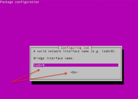 How To Install LXD Container Hypervisor On Ubuntu LTS NixCraft