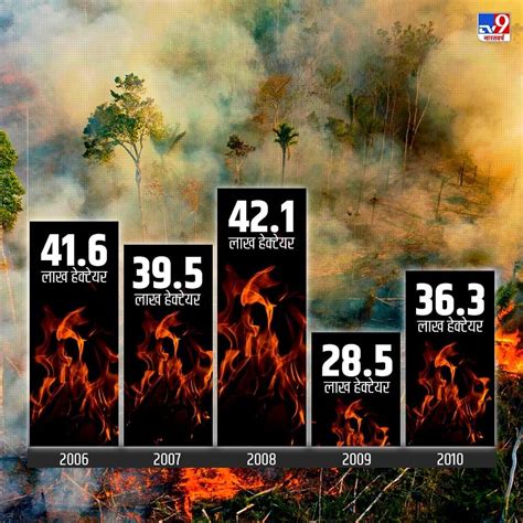 दुनियाभर में इतने हेक्टेयर जंगल आग से हुए राख कहानी 21 साल की Forest Fire Data Worldwide 21