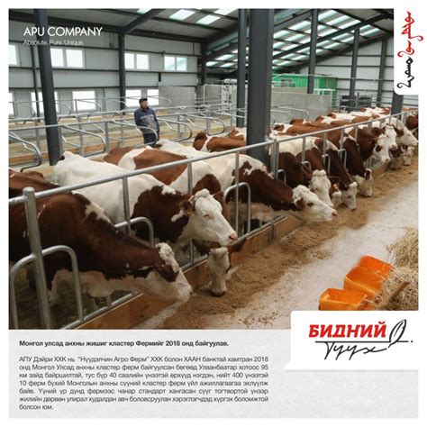[english Below] Бидний түүх Монгол улсад анхны жишиг кластер Фермийг 2018 онд байгуулав АПУ
