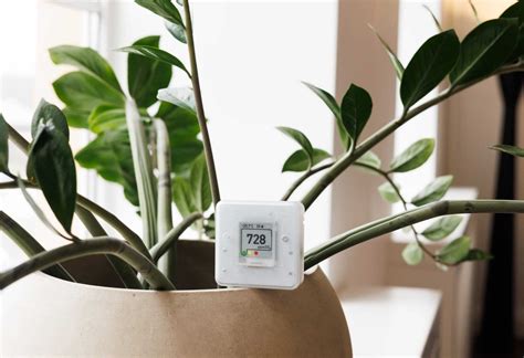 Roof Insulation Services