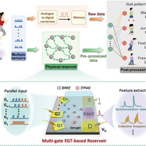 Near‐sensor Reservoir Computing For Wearable Electronics A Comparison Download Scientific