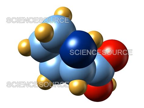 Proline Molecular Model Stock Image Science Source Images