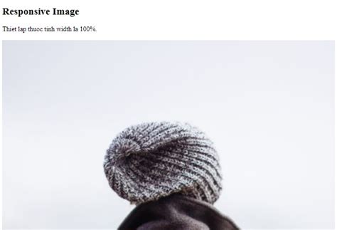 Responsive Web Design Trong Html Tự động Phóng To Thu Nhỏ Trang Web