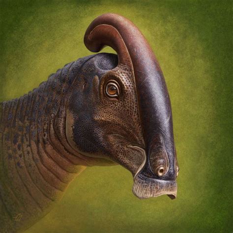 “exquisite” New Parasaurolophus Skull Reveals Secrets Of Its Funky Tube