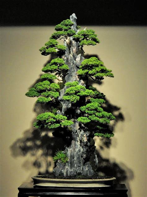 Kimura Playing With Bonsai Stone Lantern