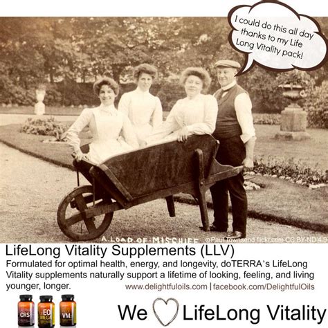 Doterras Lifelong Vitality Pack The Only Supplement Thats Ever Made