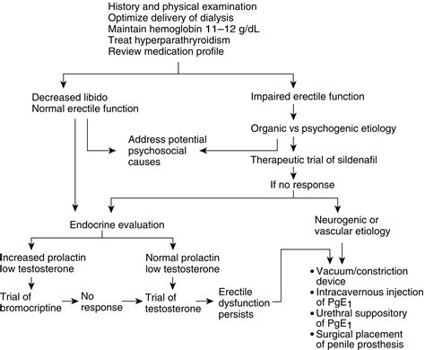 Evaluation And Treatment Of Sexual Dysfunction Clinical Tree