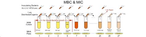 What Is The Difference Between Mic And Mbc 51 Off