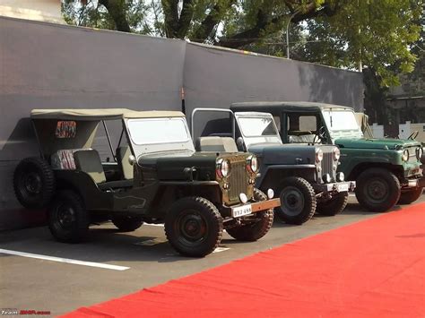 Jonga Wallpapers Wallpaper Cave