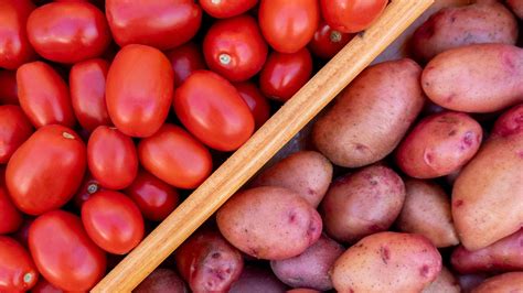 La Papa Nació De Un Ancestro Del Tomate Científicos Revelan El Origen