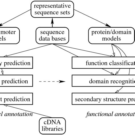 5 Schematic Overview Of Sequence Annotation The Picture Shows Only