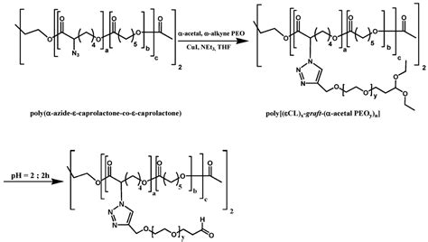 Polyε Caprolactone Based Graft Copolymers Synthesis Methods And Applications In The