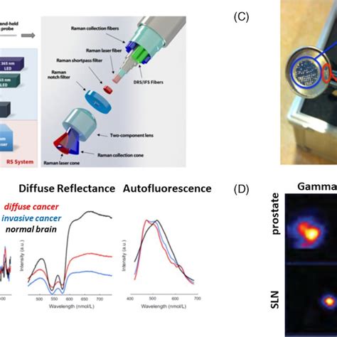 Examples Of Multi‐modality Surgical Guidance A Combined Raman Download Scientific Diagram
