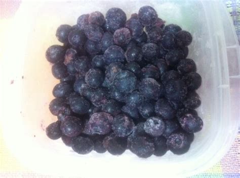 블루베리 쉐이크쥬스 블루베리 갈아 먹는법직접 갈아먹기 네이버 블로그