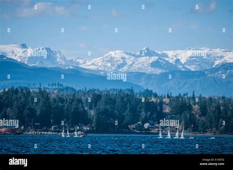 A View Of The Comox Glacier With A Row Of Sailing Dinghies Being Towed