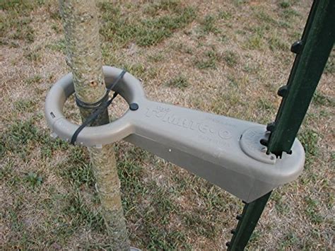Tree Sprout Support Tree Mate O Support System