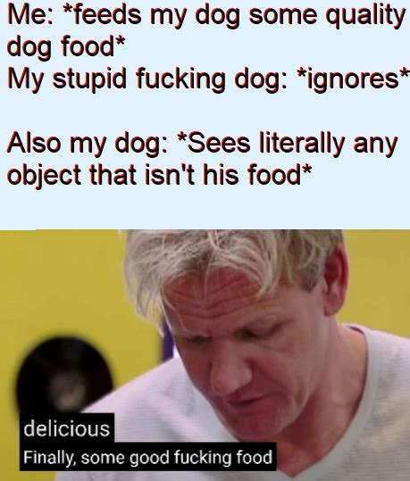 50 Funny Finally Some Good Food Memes For All The Foodies