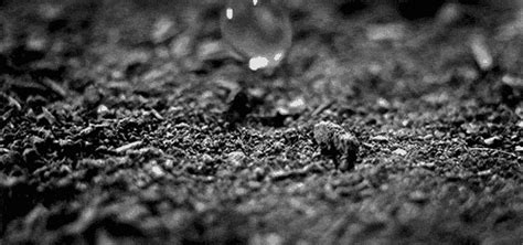 Expanding And Collapsing Elements In React Native Modus Create