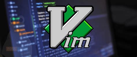 10 Reasons Why Every Developer Should Learn Vim Dev Community