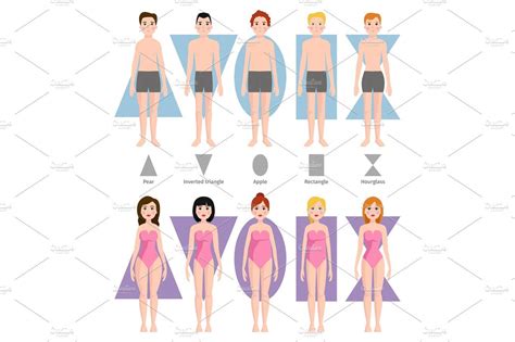 Vector Illustration Of Different Body Shape Types Body Type Drawing Types Of Body Shapes