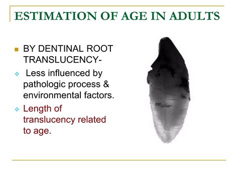 Age Estimation In Forensic Odontology Ppt