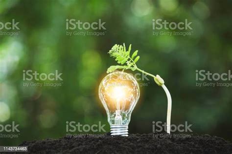 전구는 빛나는 하나 텍스트 삽입을 위한 전구 및 복사 공간을 포함 한 기술 및 창의성 개념 0명에 대한 스톡 사진 및 기타 이미지 Istock