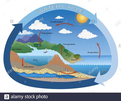 Complex Water Cycle