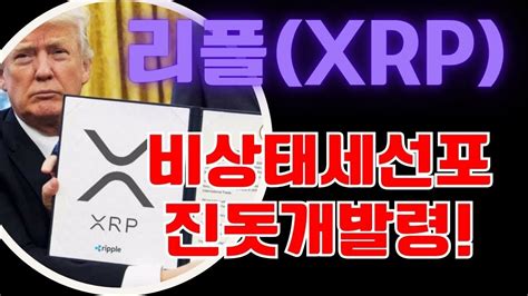 리플 비상사태 선포 진돗개 하나 Youtube