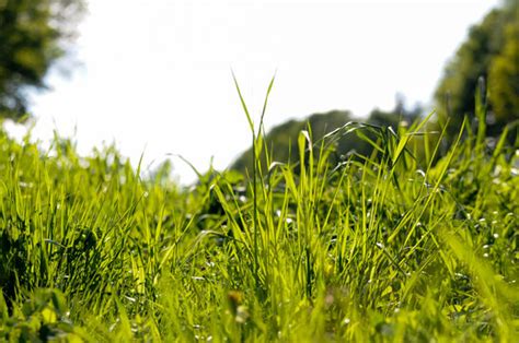 รูปภาพsattes เลือกดูภาพถ่ายสต็อก เวกเตอร์ และวิดีโอ246 Adobe Stock