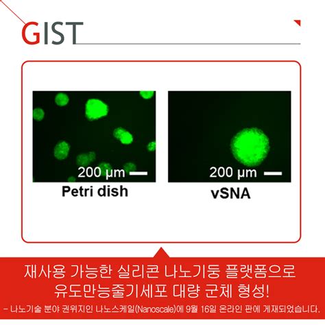 Gist 광주과학기술원 Gist 연구동향 Gist와 Kist의 공동연구로 재사용이 가능한