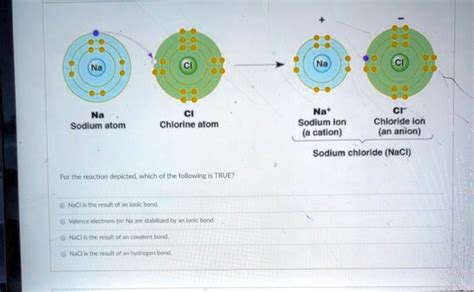 Solved Na Na Cr Sodium Atom Chlorine Atom Sodium Ion A Cation Chloride Ion An Anion Sodium