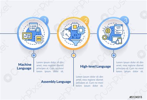 Types Of Computer Languages Circle Infographic Template Stock Vector