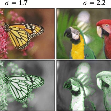 Results Of Edge Detection On Four Images From Live Database With Download Scientific Diagram