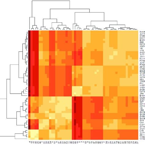 Dendrogram Based On D Value By Cluster Analysis Download Scientific