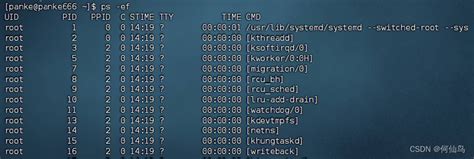 linux进程管理、ps命令、kill命令 linux ps 进程然后kill csdn博客