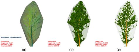 Forests Free Full Text Simpletree —an Efficient Open Source Tool To Build Tree Models From