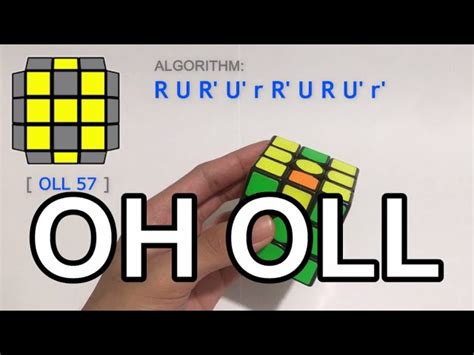 Oll 43 Algs Discounts Selling Brunofugaadvbr