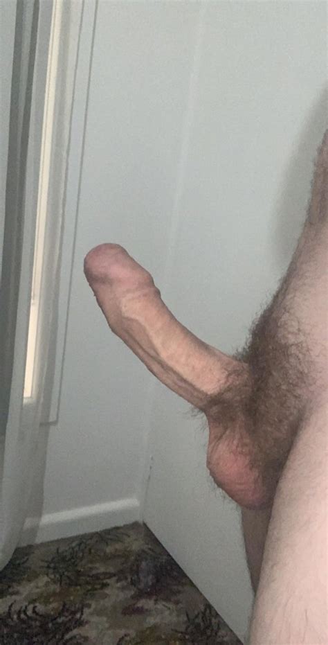 Most Beautiful Cock Contest Page 170 Lpsg