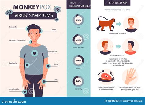 Infografica Dei Sintomi Del Virus Del Vaiolo Delle Scimmie Fotografia