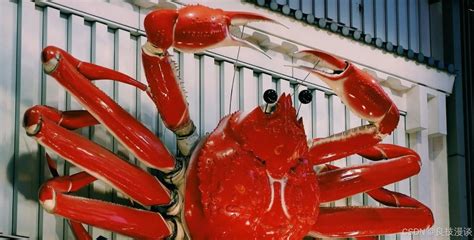 Rust精简核心笔记:第三波,基础语法完结篇rust Gets Csdn博客 Rust精简核心笔记:第三波,基础语法完结篇rust Gets Csdn博客