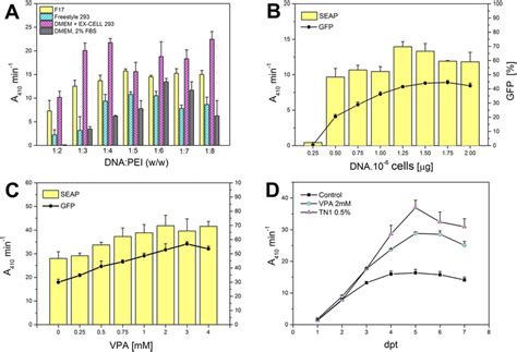 Optimization Of Transient Transfection Of Suspension Adapted Hek293t