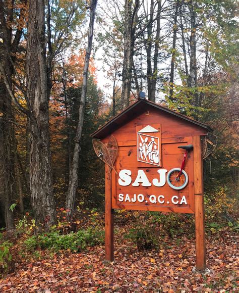 Impliques Toi Au Conseil Dadministration De Sajo Sajo