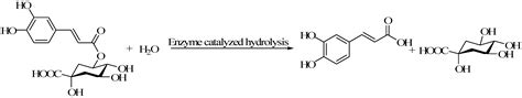Bioactivity And Chemical Synthesis Of Caffeic Acid Phenethyl Ester And