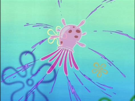Meduza Nakrapianka Spongebob Wiki Fandom