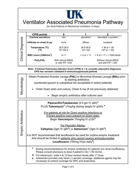 Gambar Pathway Pneumonia 47 Koleksi Gambar
