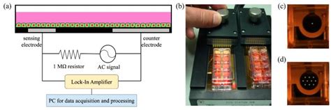 Article Mdpi Electric Biochemical Human Biosensors Sensors Openaccess Abstract
