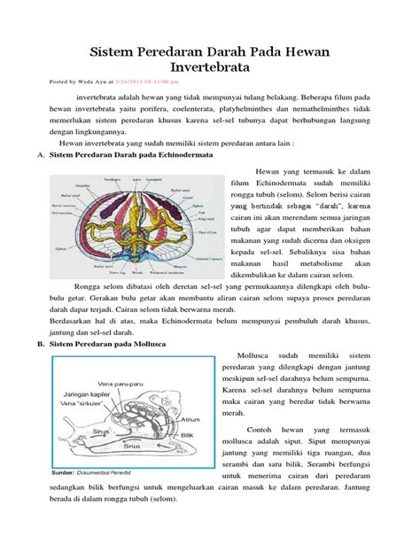 21 Sistem Endokrin Pada Hewan Invertebrata Dan Vertebrata Pdf Gambar Baru