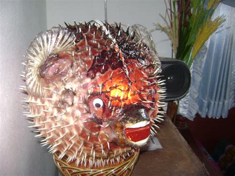 แม่น้องพี โคมไฟปลาปักเป้า