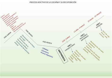Consumo De Cocaína Efectos Y Su Recuperación Psicoolivencia